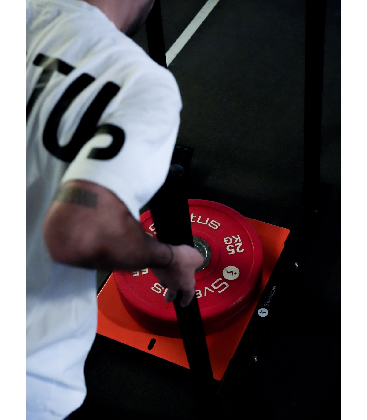 Sled - Bodybuilding sled for push and pull work