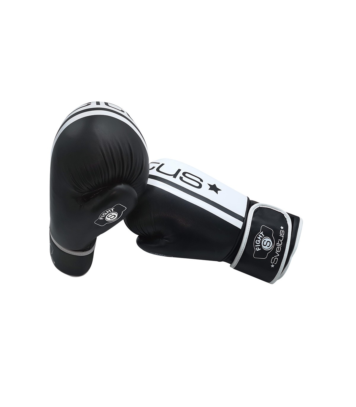 Challenger boxing glove x2