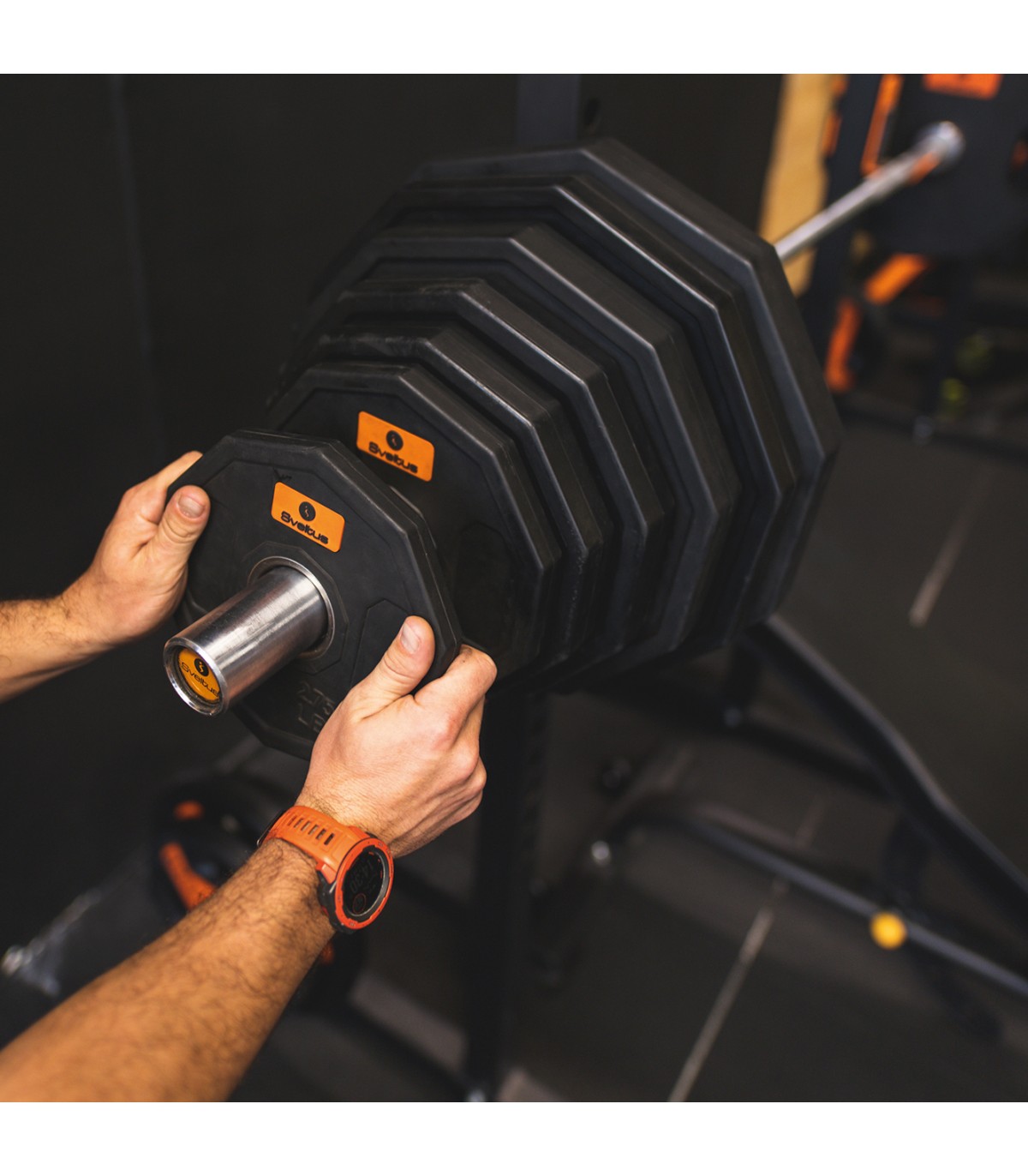 Starting Sveltus Olympic discs - Ideal range for beginners with Ø50 mm bars